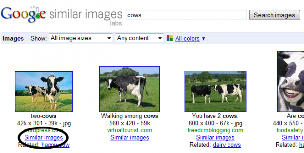 TinEye: powerful reverse image search engine | dotTech