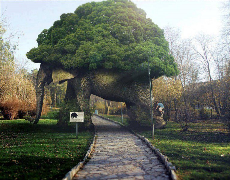 ‘Elephant Tree Arch’ is a man-made wooden elephant with a tree on top ...