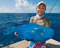 This is a blue fish. Literally. [Amazing Photo of the Day] | dotTech