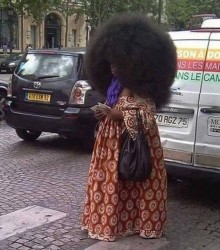At 4 ft 4 in (132 cm), this is the world’s largest afro [Amazing Photo ...