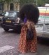 At 4 ft 4 in (132 cm), this is the world’s largest afro [Amazing Photo ...