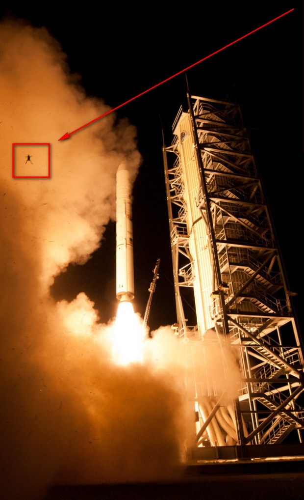 Frog tries to blast off into space by attaching itself to NASA space ...