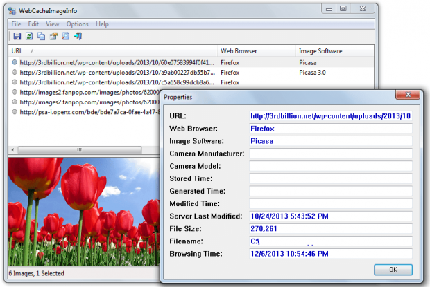 [Windows] View browser’s cached images with EXIF using ...
