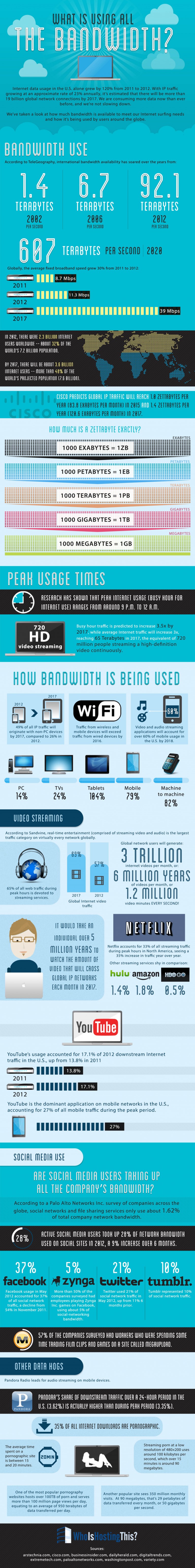 “What is using all the bandwidth?” [Infographic] | dotTech